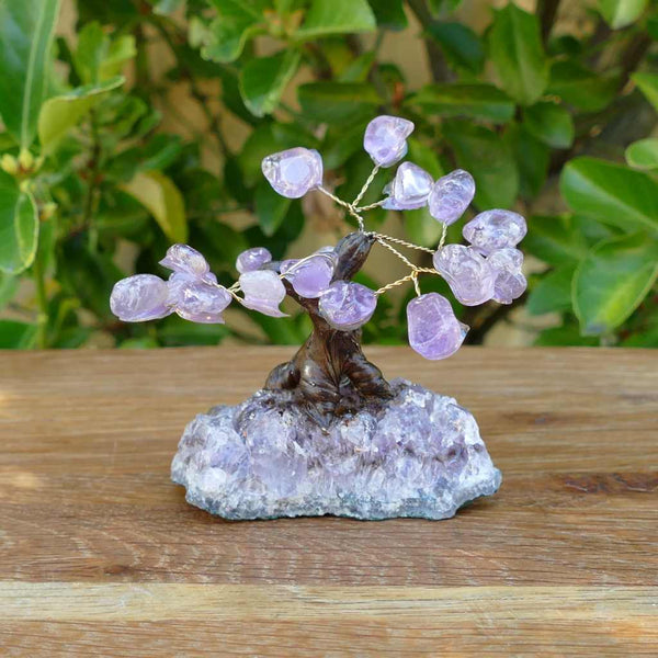 Amethyst Bonsai Gem Tree | Earth Inspired Gifts