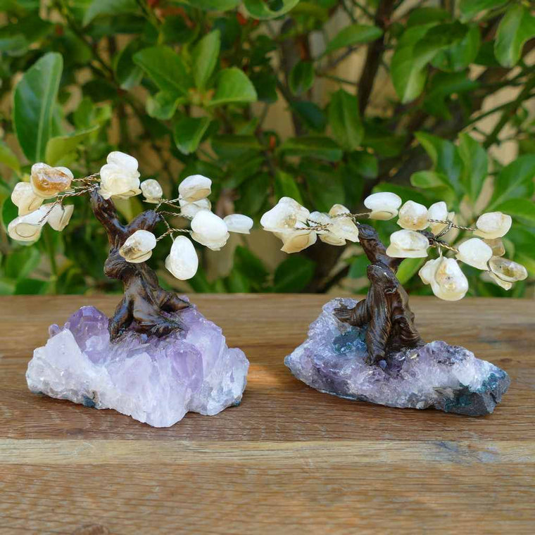 Gem Trees to Buy Online | Crystal Trees & Feng Shui Trees - Earth ...