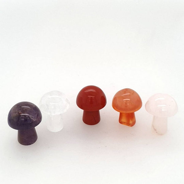 Mini Crystal Mushrooms - Earth Inspired Gifts