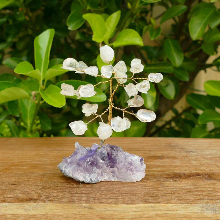Gem Trees to Buy Online | Crystal Trees & Feng Shui Trees - Earth ...
